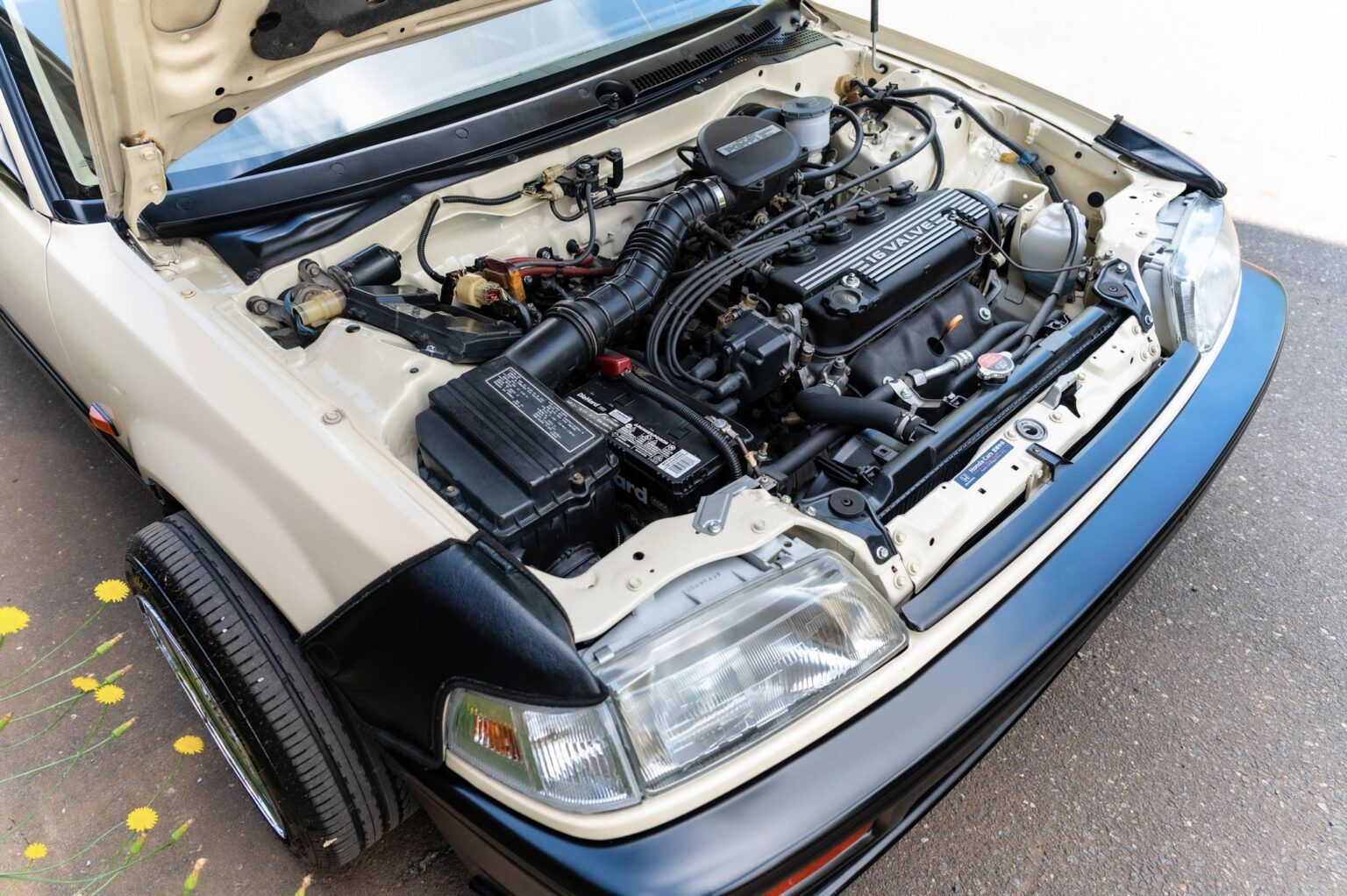 Creamy 4-door EF Civic - Euro lowrider | S3 Magazine