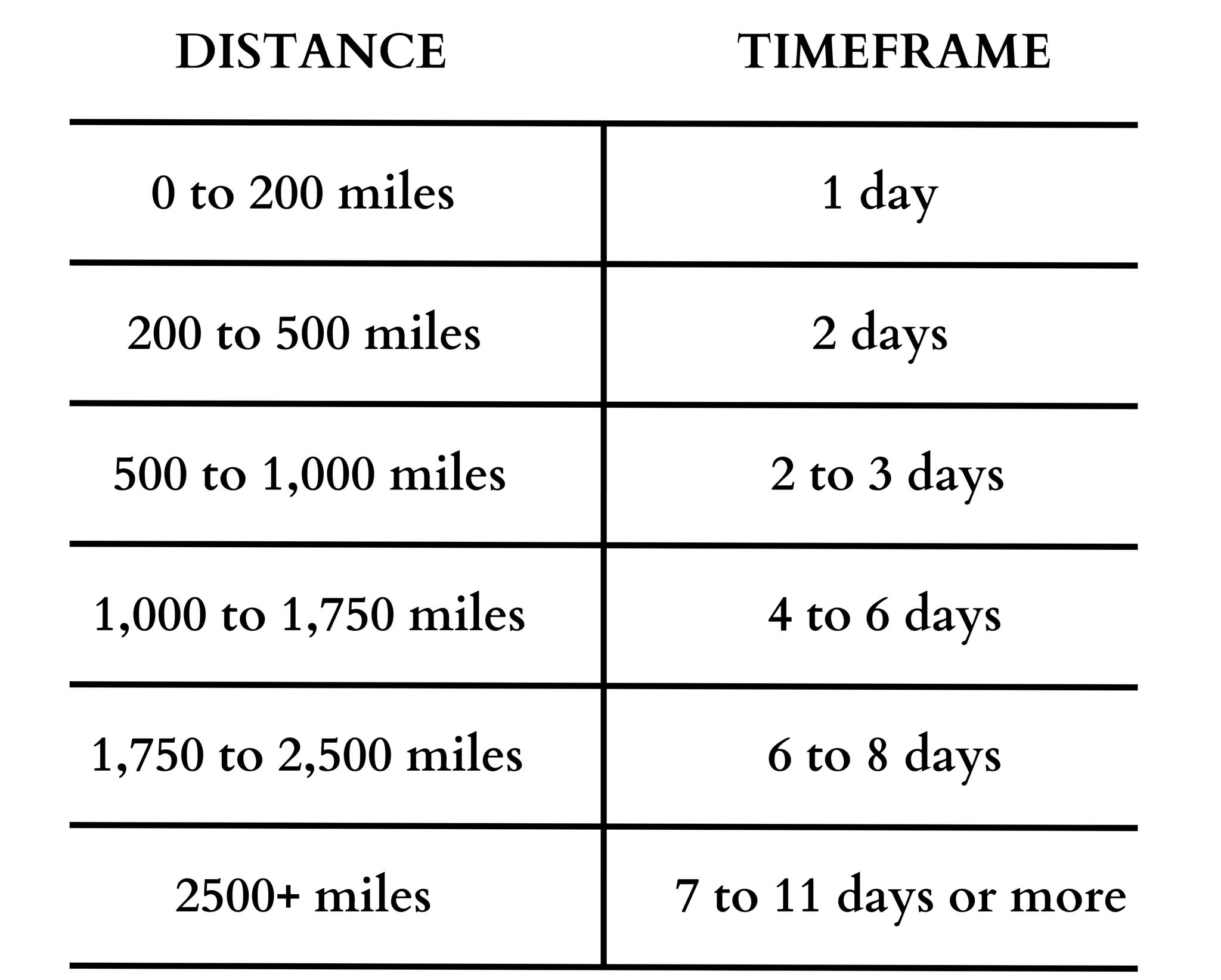 Black and White Minimalist Comparison T-Chart A4 Document - 1 | S3 Magazine